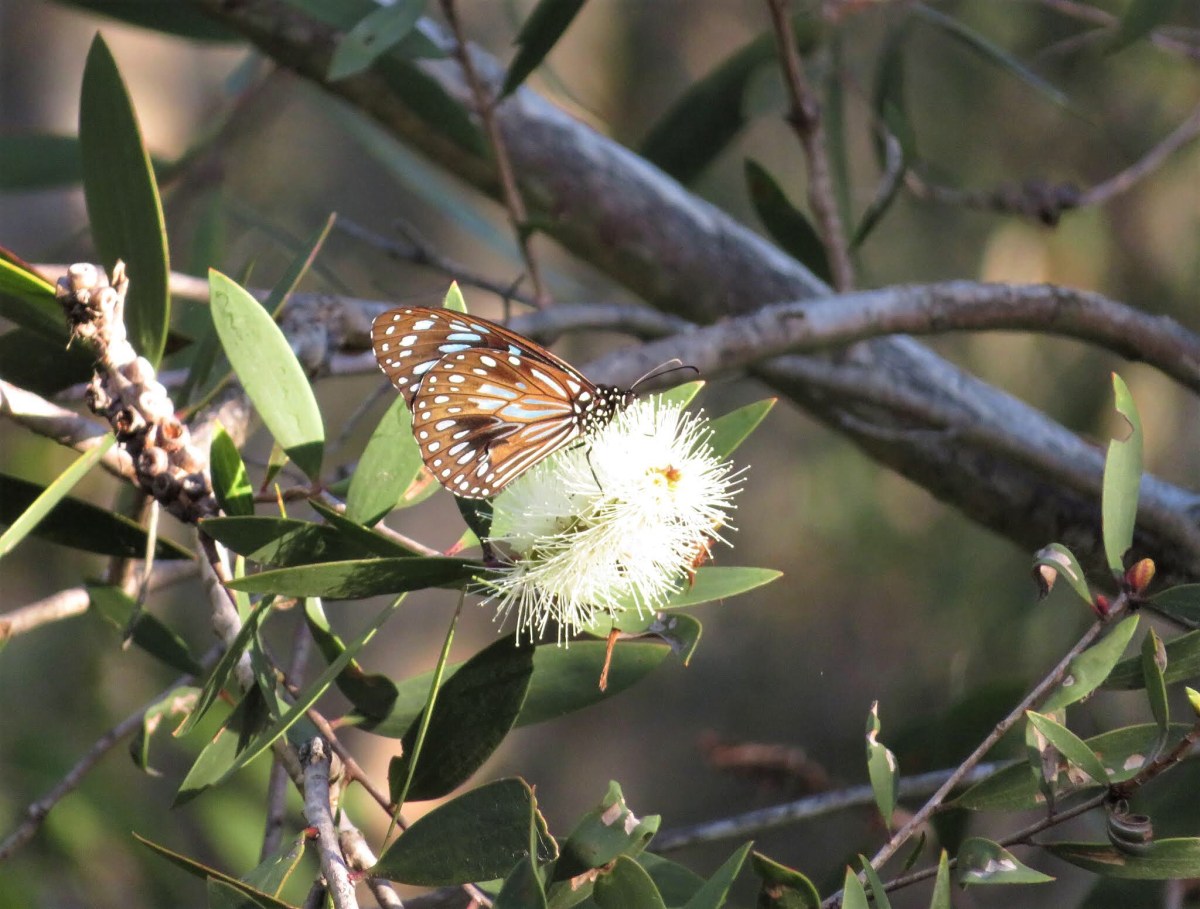 Photography – In Lockdown with Michelle Cop – Breaking Glass Magazine